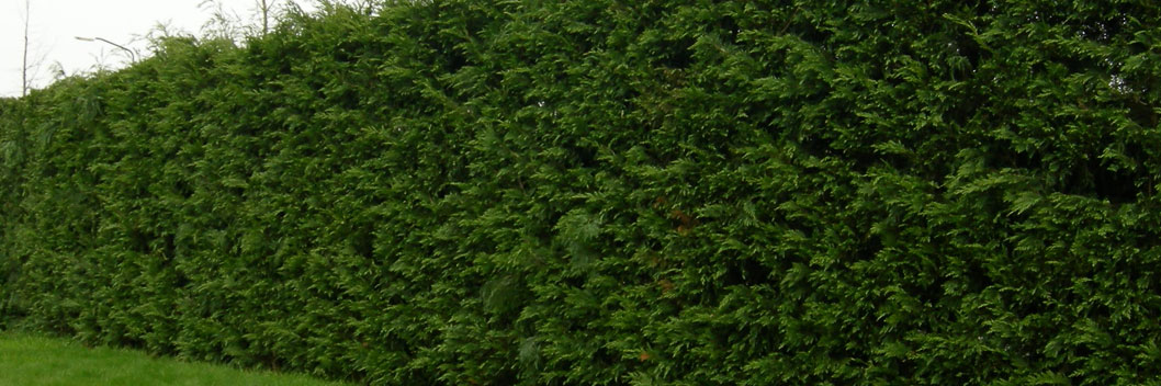 heg - J. van Aken en ZN BV